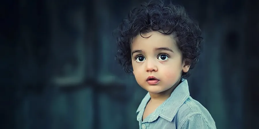 Definition & meaning of YOUNG examples, synonyms and antonym