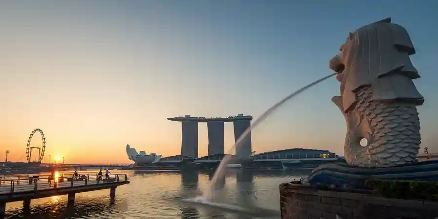 Definition & meaning of SINGLISH examples, synonym & antonym