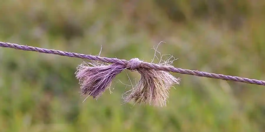 Definition of DISRUPTION examples, synonyms and antonyms