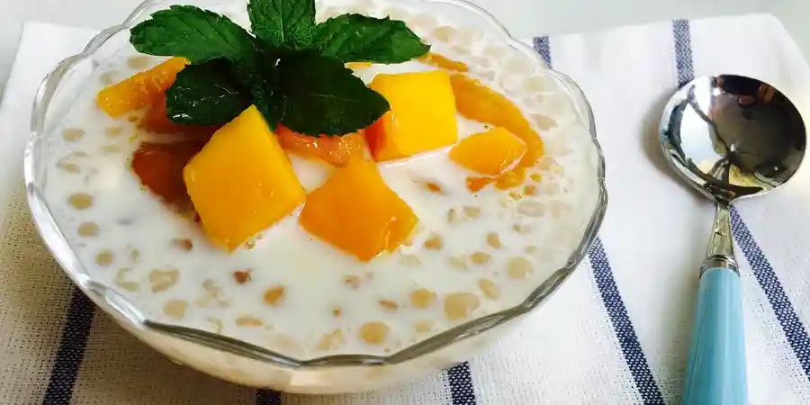 Definition and meaning of SAGO examples, synonyms & antonyms