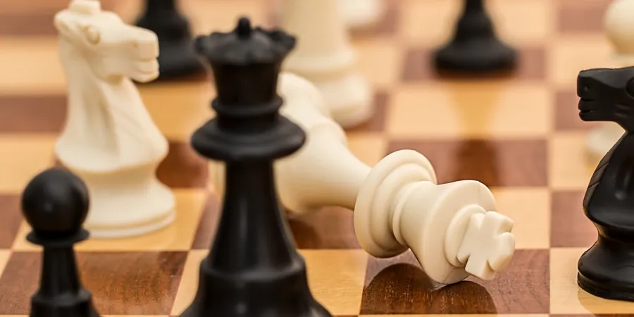 Definition & meaning of CHESS examples, synonyms & antonyms