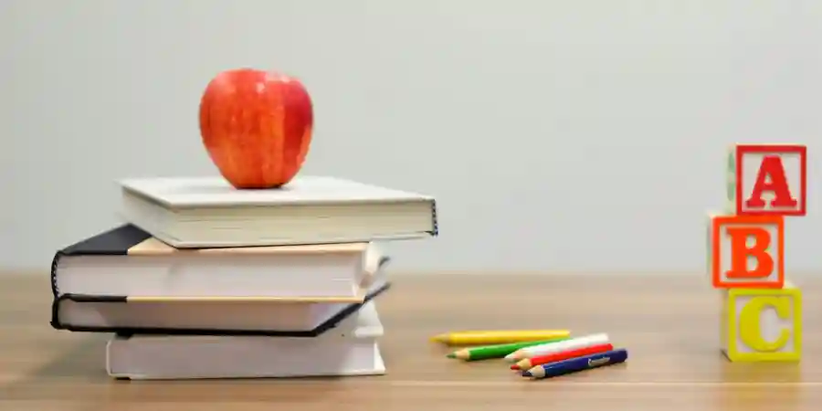 Definition of EDUCATION examples, synonyms and antonyms