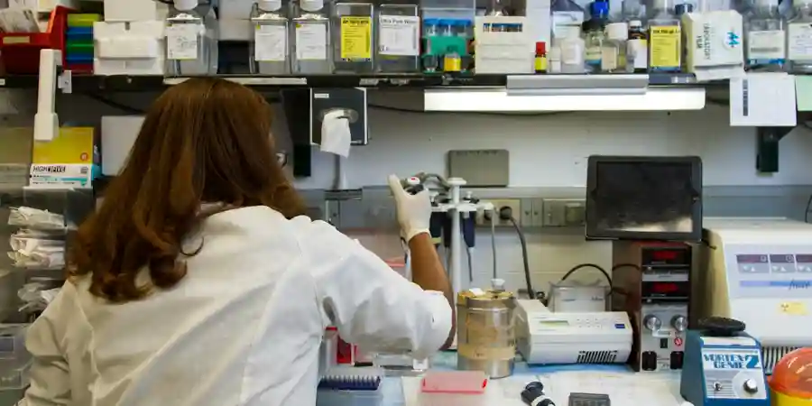 Definition of RARE DISEASE examples, synonyms and antonyms