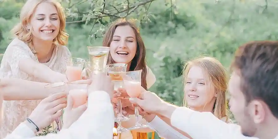 Definition of CELEBRATOR examples, synonyms and antonyms