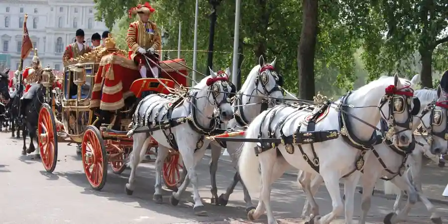 Definition of CEREMONIAL examples, synonyms and antonyms