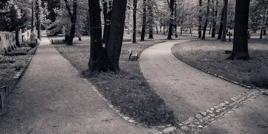 Definition of DIVERGENT examples, synonyms and antonyms