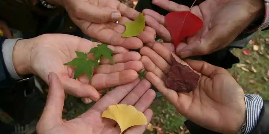 Definition & meaning of TOLERANT example, synonym & antonym