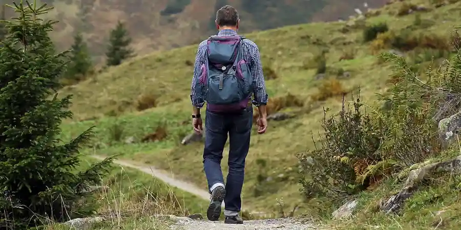 Definition of WANDER AWAY examples, synonyms and antonyms