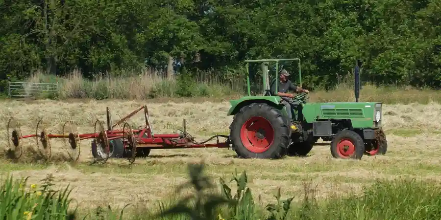 Definition of AGRICULTURAL example, synonym & antonym