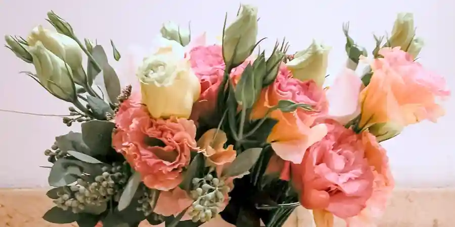 Definition of ARRANGEMENT example, synonym & antonym