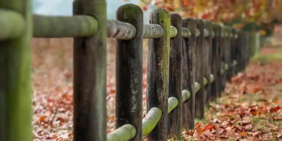 Definition of BARRIER example, synonym & antonym