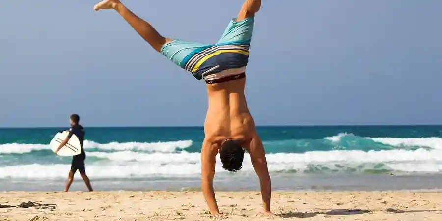 Definition of BODY example, synonym & antonym
