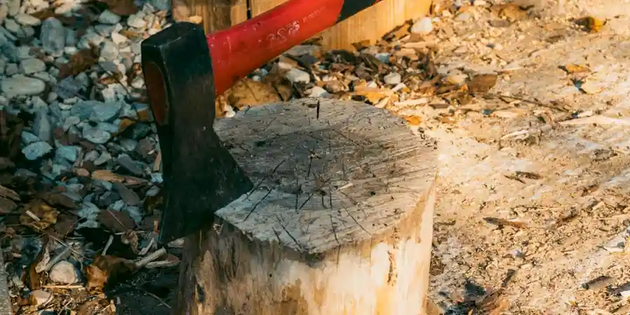 Definition of CLEAVE example, synonym & antonym