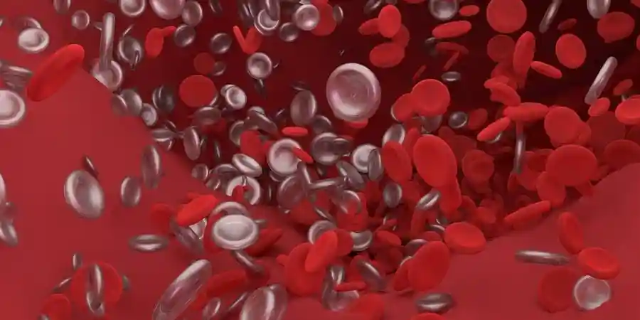 Definition of COAGULANT example, synonym & antonym