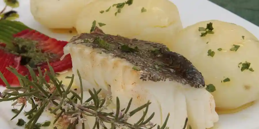 Definition of COD example, synonym & antonym