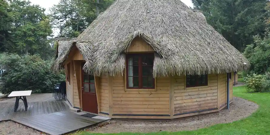 Definition of COMPRISE example, synonym & antonym